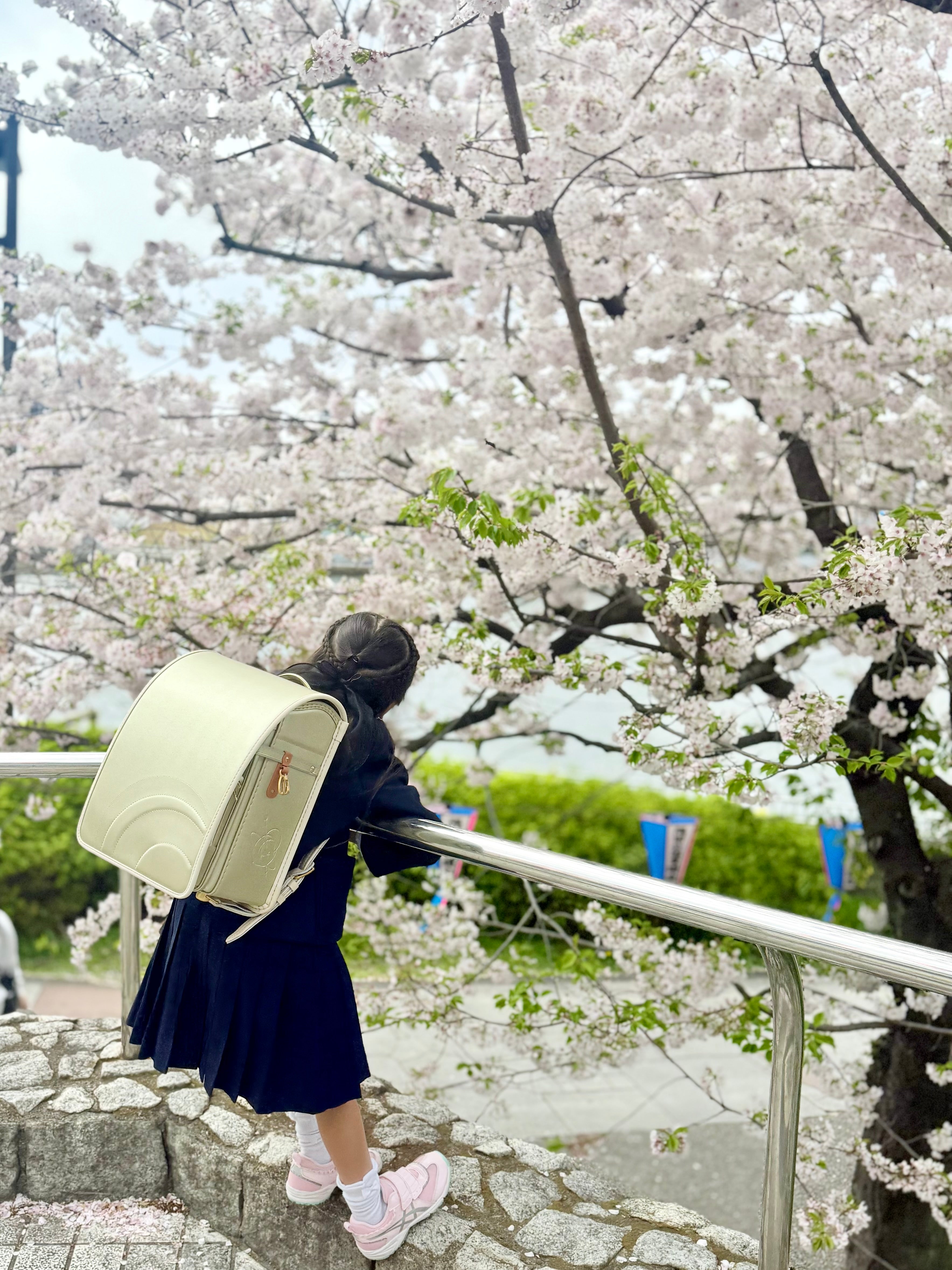 Wonder（ワンダー）／ヒカリちゃん – ARTIFACT 2026年度公式サイト